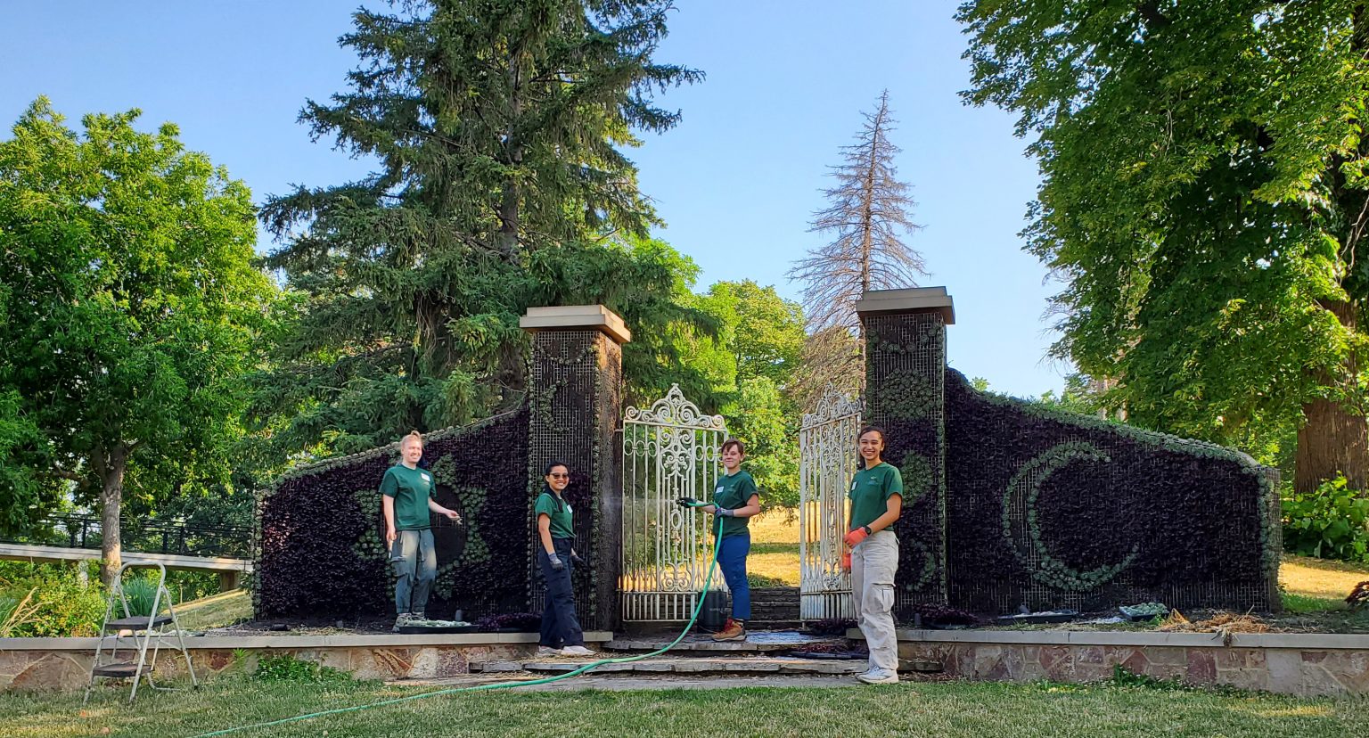 Growing Gates Ajar - Como Friends